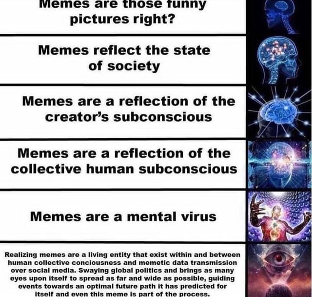 Memes are those runny pictures right? Memes reflect the state of ...