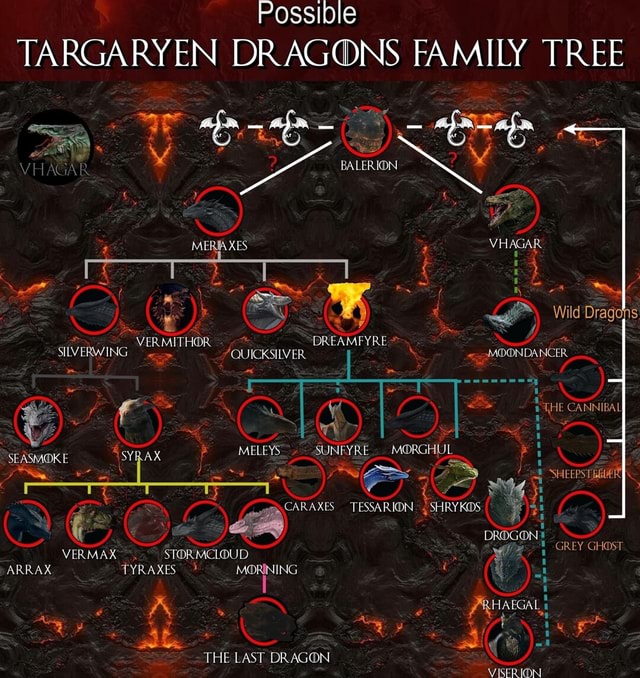 Possible DRAGONS "pe VHAGAR MERIAXES VHAGAR x Hi DREAMFYRE ie Ne Wild ...