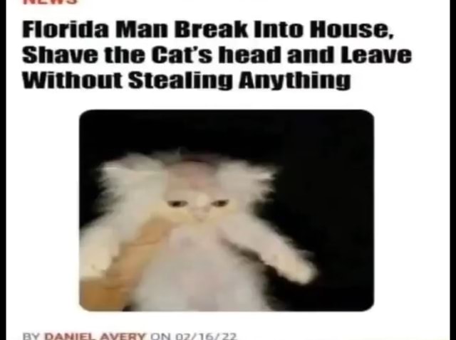 Florida Man Break Into House, Shave the Cat's head and Leave Without ...