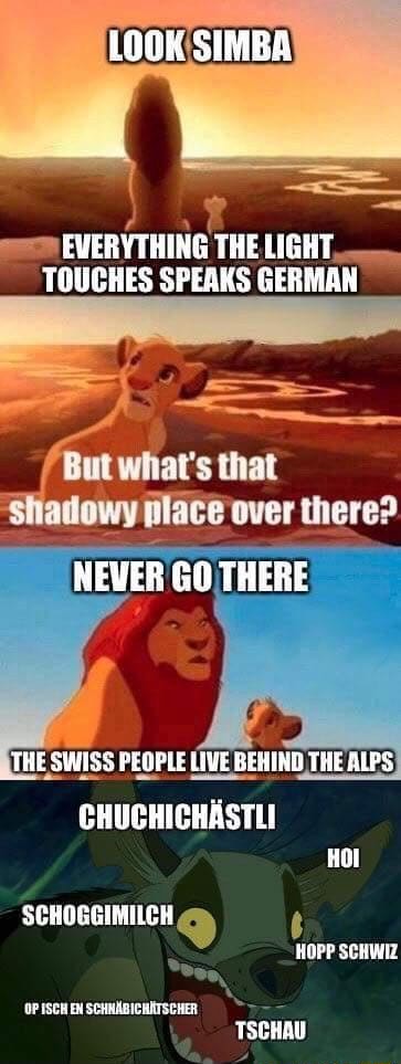 Language meme dump (cake day) - LOOK SIMBA EVERYTHING THE LIGHT TOUCHES ...