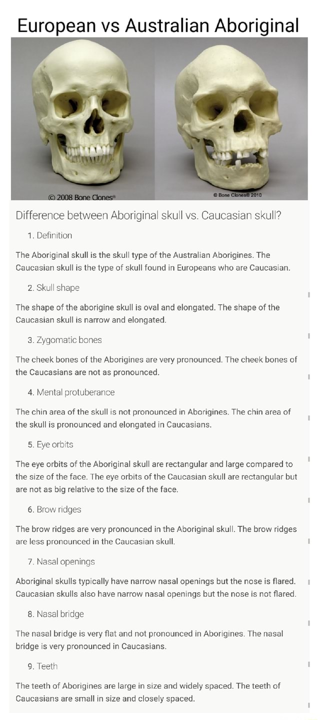 European vs Australian Aboriginal Difference between Aboriginal skull ...