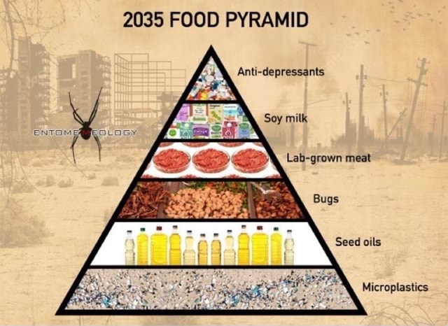 2035 FOOD PYRAMID Seed oils Microplastics - iFunny