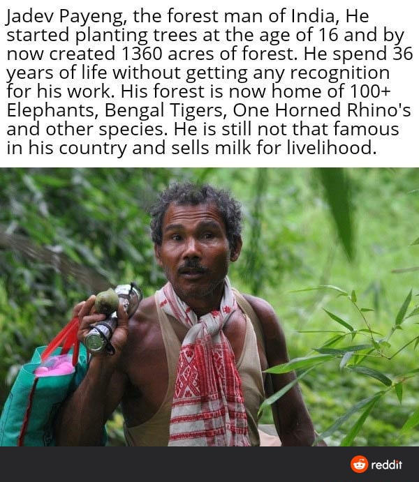 Jadev Payeng, the forest man of India, He started planting trees at the ...