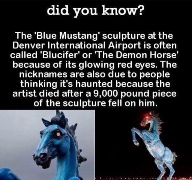 Did you know? The 'Blue Mustang' sculpture at the Denver International ...