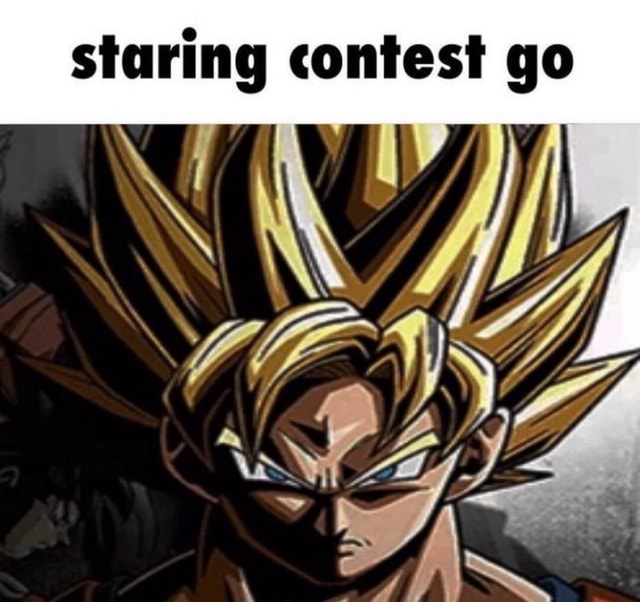 Staring contest go I I - iFunny