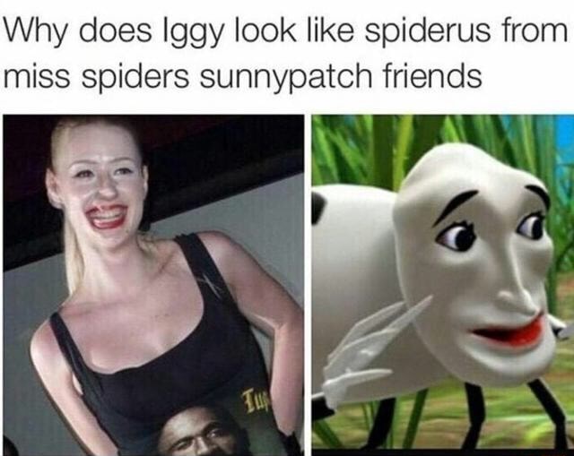 Why does Iggy look like spiderus from miss spiders sunnypatoh friends ...