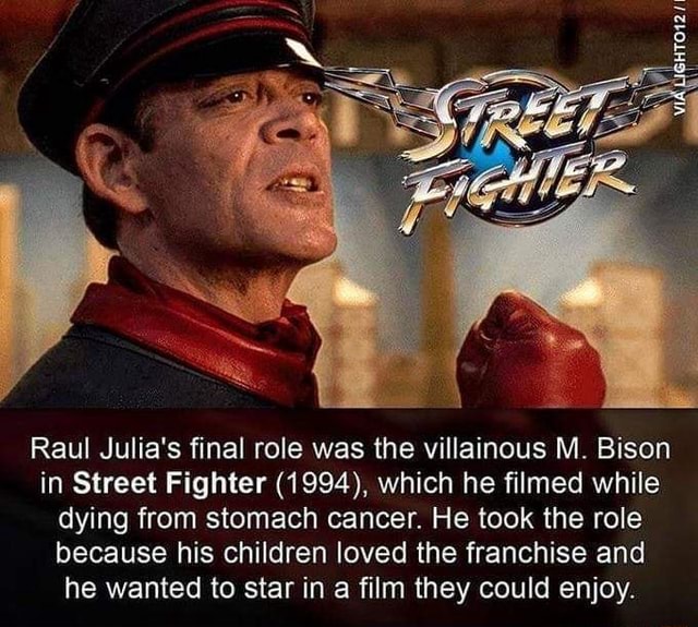 Raul Julia's final role was the villainous M. Bison in Street Fighter ...