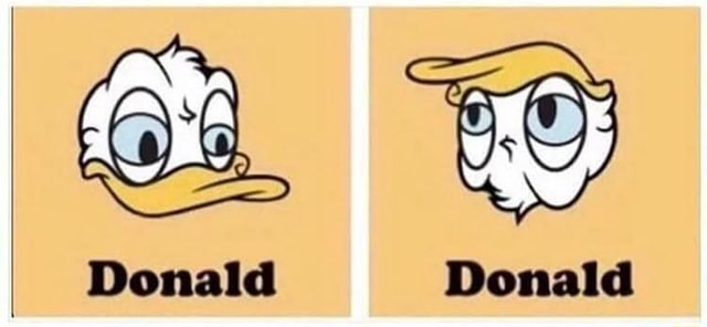 Donald Donald - iFunny