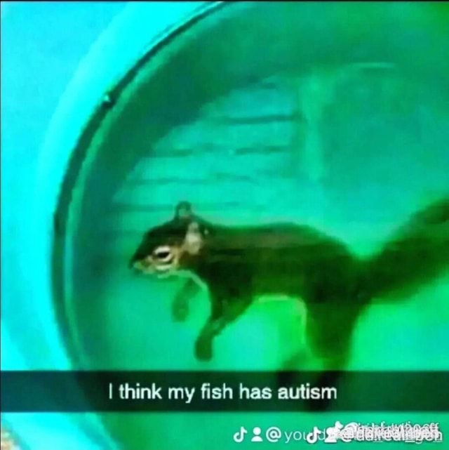I think my fish has autism 2@ - iFunny