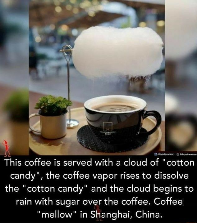 This coffee is served with a cloud of "cotton candy", the coffee vapor ...