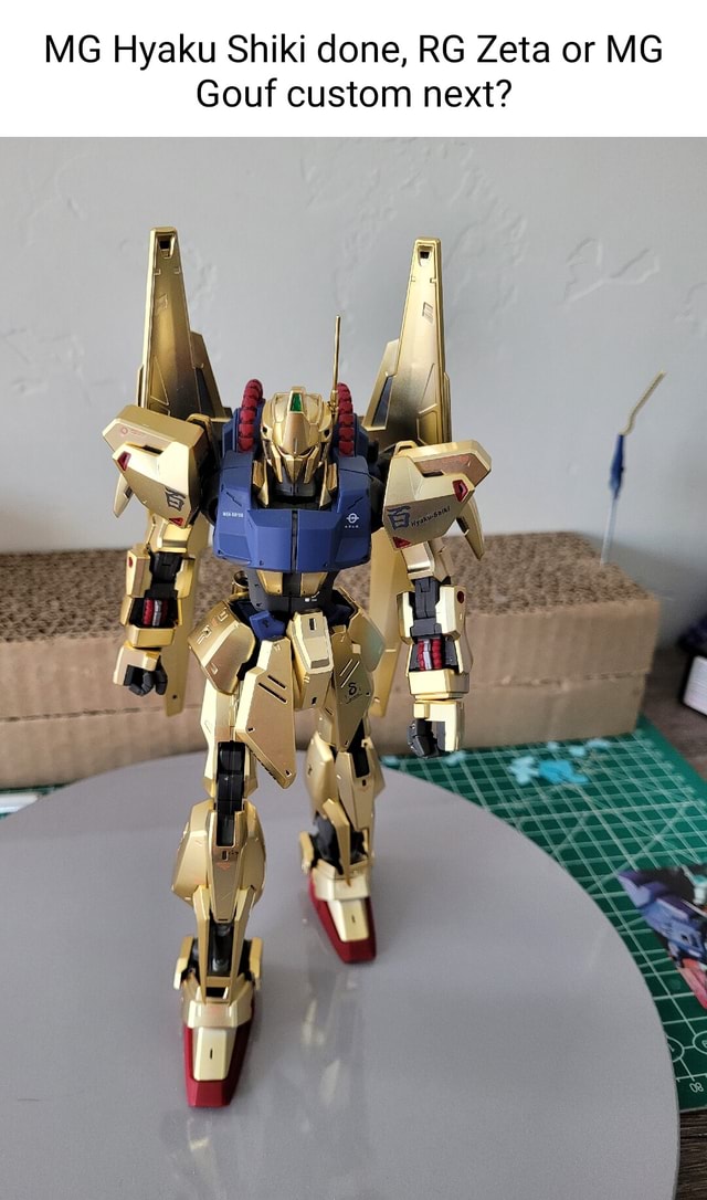 MG Hyaku Shiki done, RG Zeta or MG Gouf custom next? - iFunny