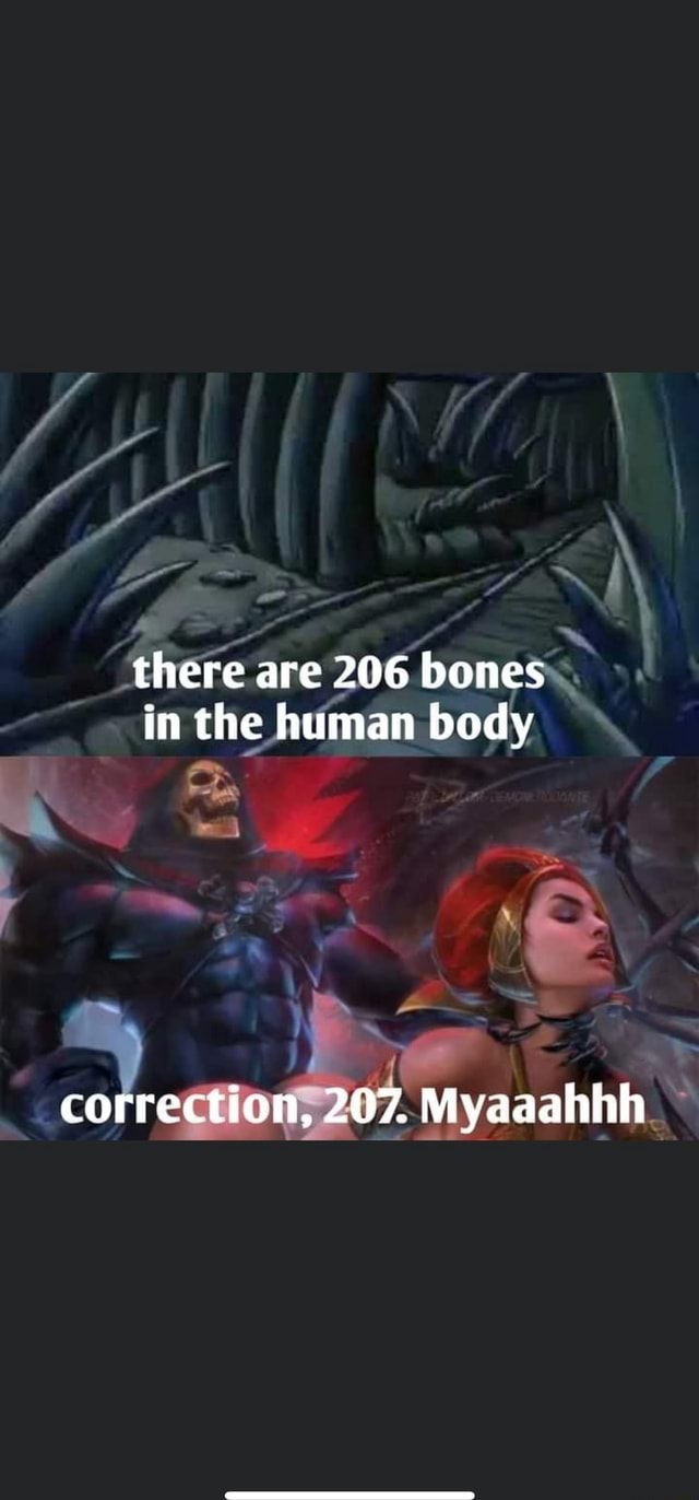 Xx There Are 206 Bones In The Human Body Correction 207 Myaaahbh Ifunny
