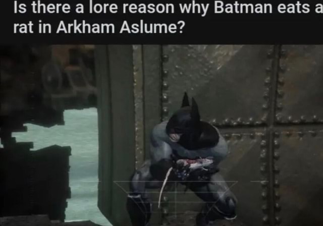 Is there a lore reason why Batman eats a rat in Arkham Aslume? a ult iX ...