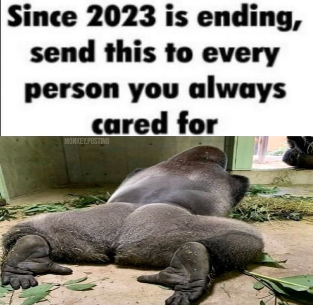 Since 2023 is ending, send this to every person you always cared for ...