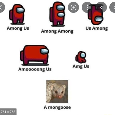 Among US among among US Among Us Amooooong Us A mongoose - iFunny