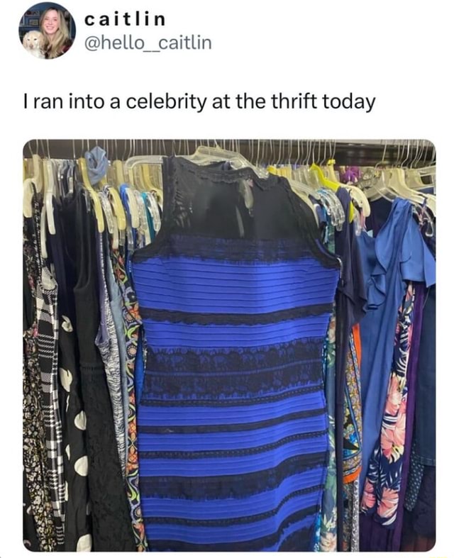 @hello_caitlin caitlin ran into celebrity at the thrift today - iFunny