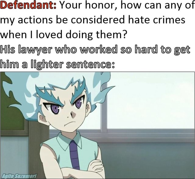 Defendant: Your honor, how can any of my actions be considered hate ...