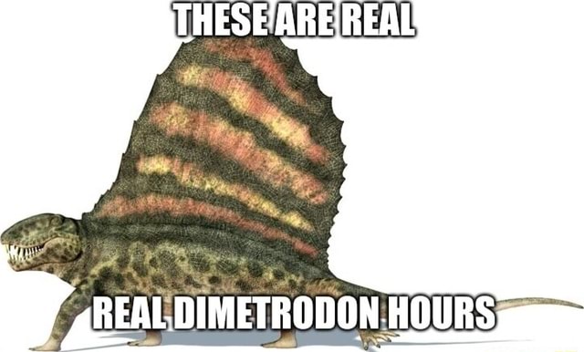 REAL DIMETRODON HOURS - iFunny