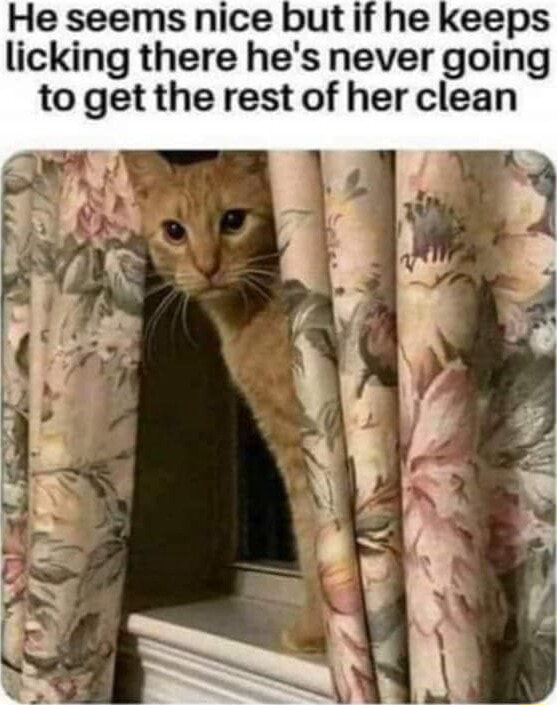 He seems nice but if he keeps licking there he's never going to get the ...