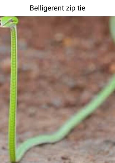 Belligerent zip tie - iFunny