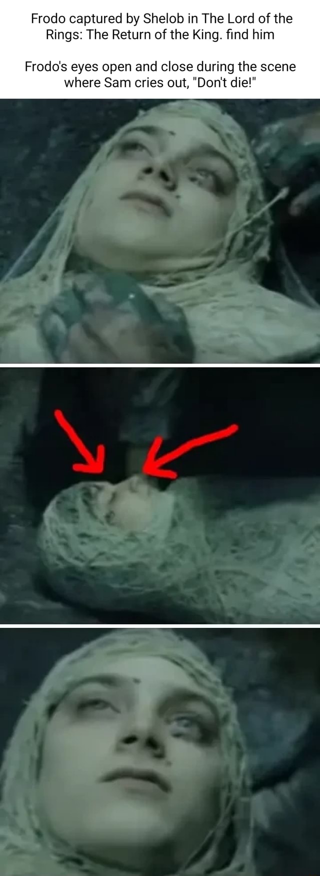 Frodo captured by Shelob in The Lord of the Rings: The Return of the ...