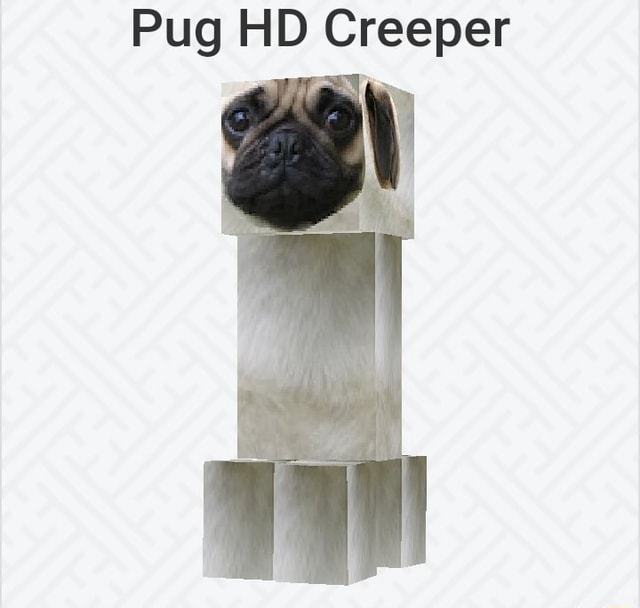 Pug HD Çreeper - iFunny