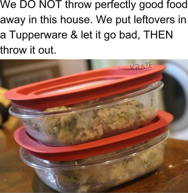 DO NOT throw penrectly Good away in this house. We put leftovers in ...