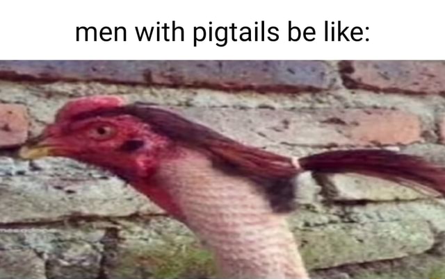 Men with pigtails be like: - )