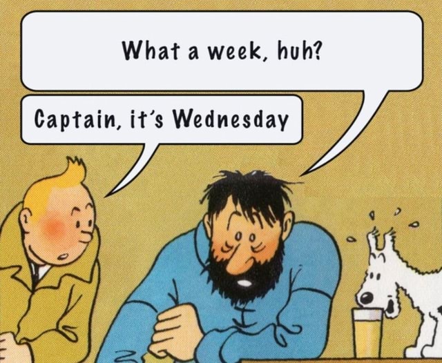 What a week, huh? Captain, it's Wednesday - iFunny