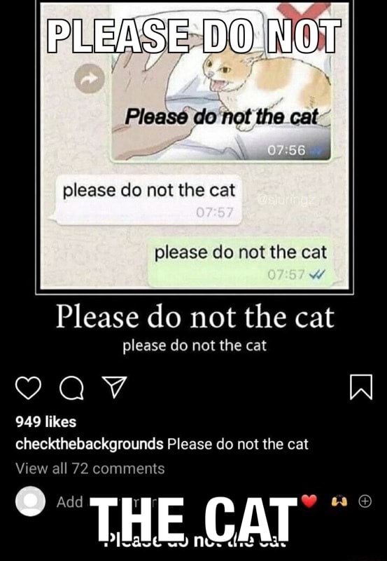 Please do not the cat please do not the cat Please do not the cat ...