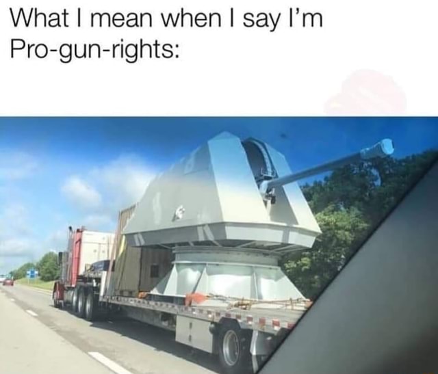 What I mean when I say I'm Pro-gun-rights: - iFunny