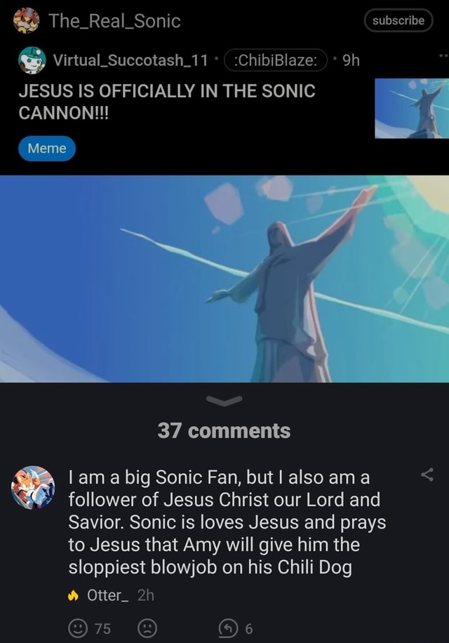 The_Real_Sonic Virtual_succotash_11 :ChibiBlaze: JESUS IS OFFICIALLY IN ...