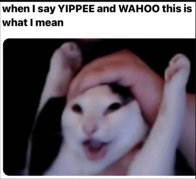 When I say YIPPEE and WAHOO this is what I mean - iFunny