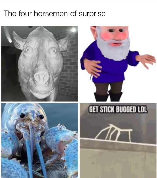 The four horsemen of surprise AS GET, STICK BUGGED LOL - iFunny