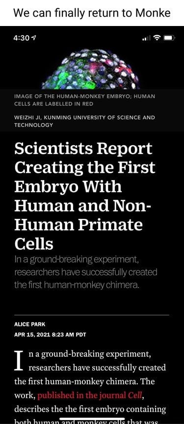 We can finally return to Monke IMAGE OF THE HUMAN-MONKEY EMBRYO; HUMAN ...