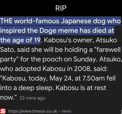 RIP THE world-famous Japanese dog who inspired the Doge meme has died at the age of 19. Kabosu's ...