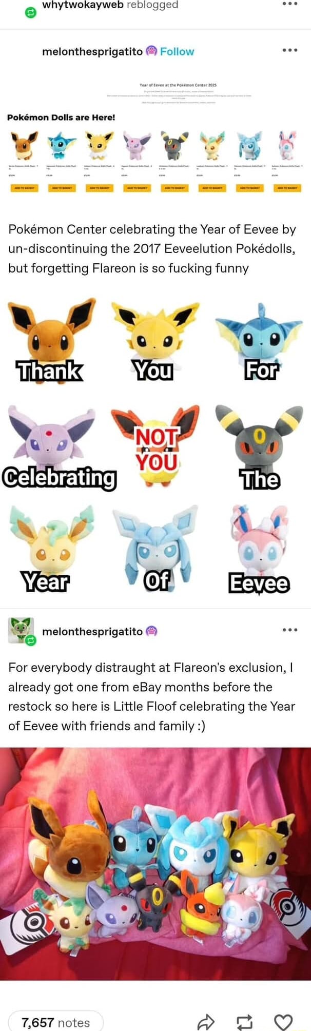 Whytwokayweb reblogged melonthesprigatito Follow Pokemon Dolls are Here ...
