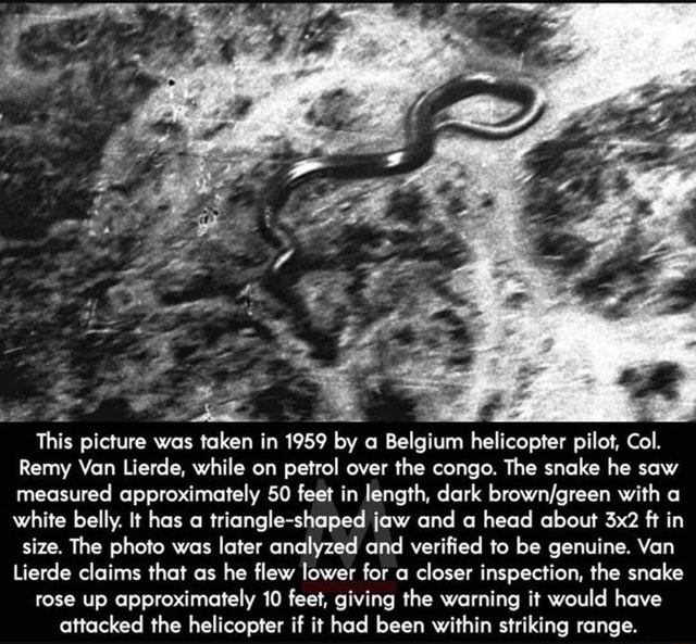 This picture was taken in 1959 by a Belgium helicopter pilot, Col. Remy ...