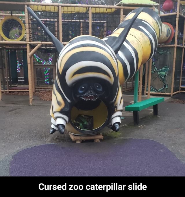 Ide Cursed zoo caterpillar sl - Cursed zoo caterpillar slide - iFunny