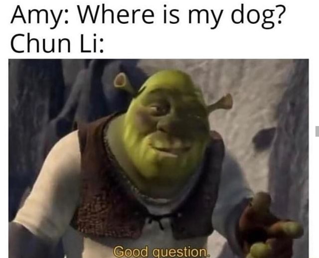 Amy: Where is my dog? Chun Li: - iFunny