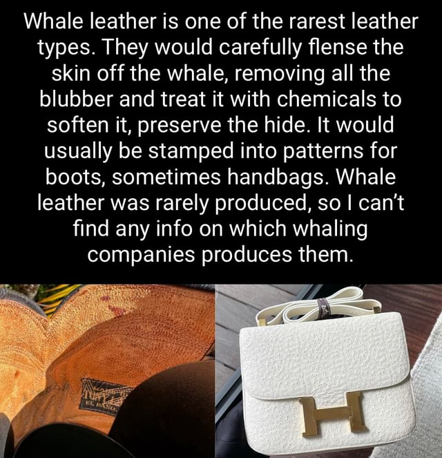 Whale leather is one of the rarest leather types. They would carefully ...