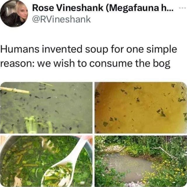 Rose Vineshank (Megafauna h... Humans invented soup for one simple ...