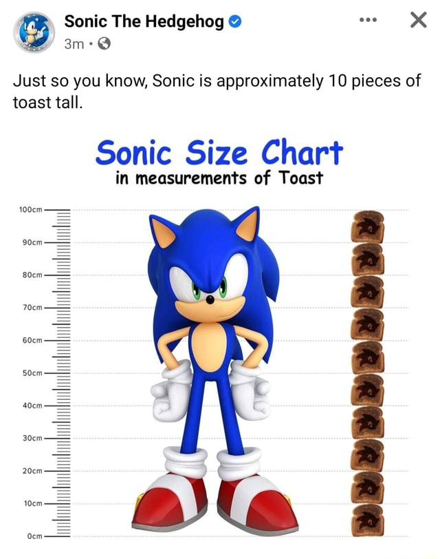 Sonic The Hedgehog Just so you know, Sonic is approximately 10 pieces ...