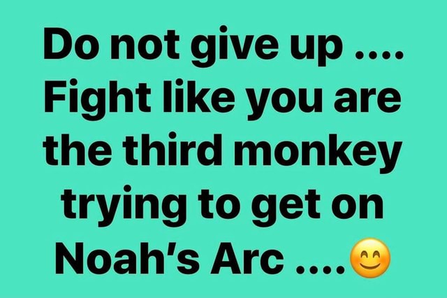 Do not give up Fight like you are the third monkey trying to get on ...