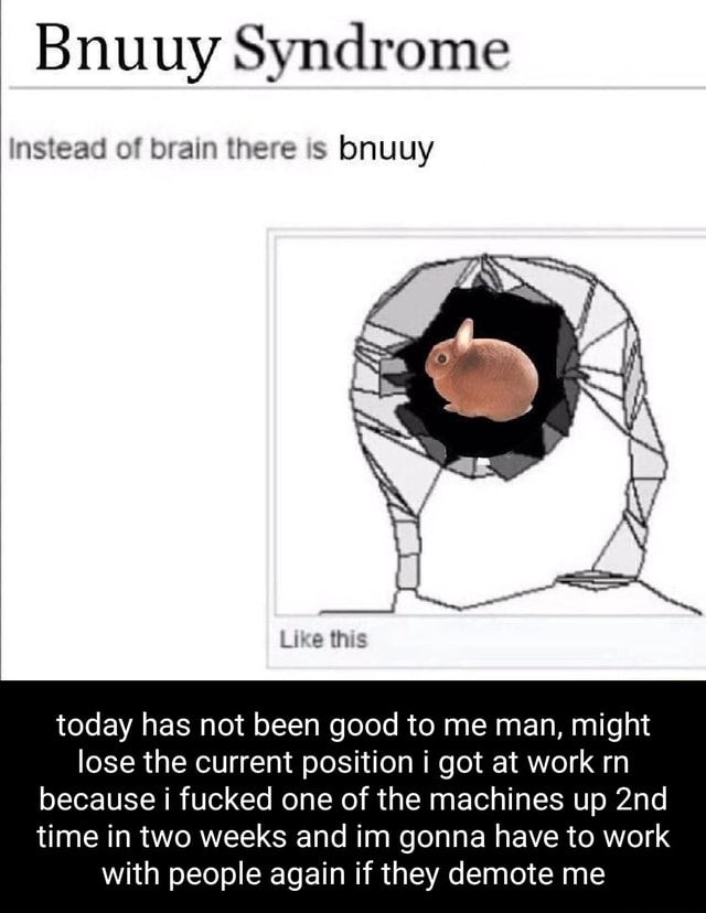 Bnuuy Syndrome instead of brain there is bnuuy today has not been good ...