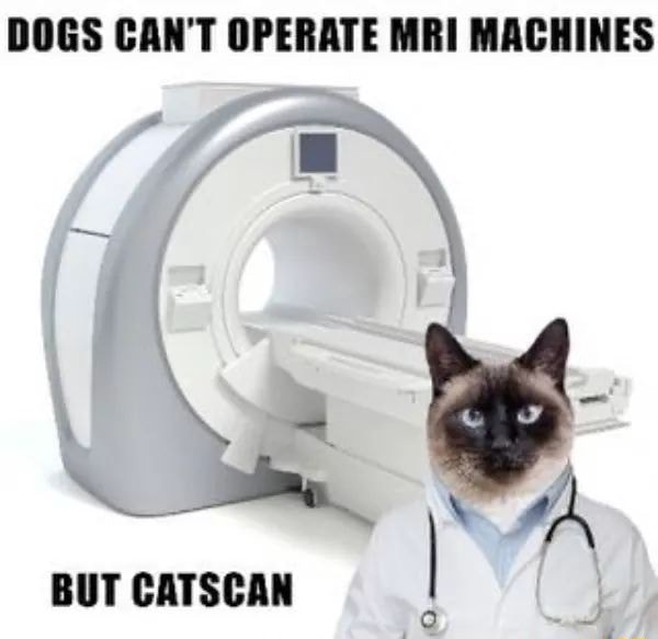 DOGS CAN'T OPERATE MRI MACHINES BUT CATSCAN - iFunny