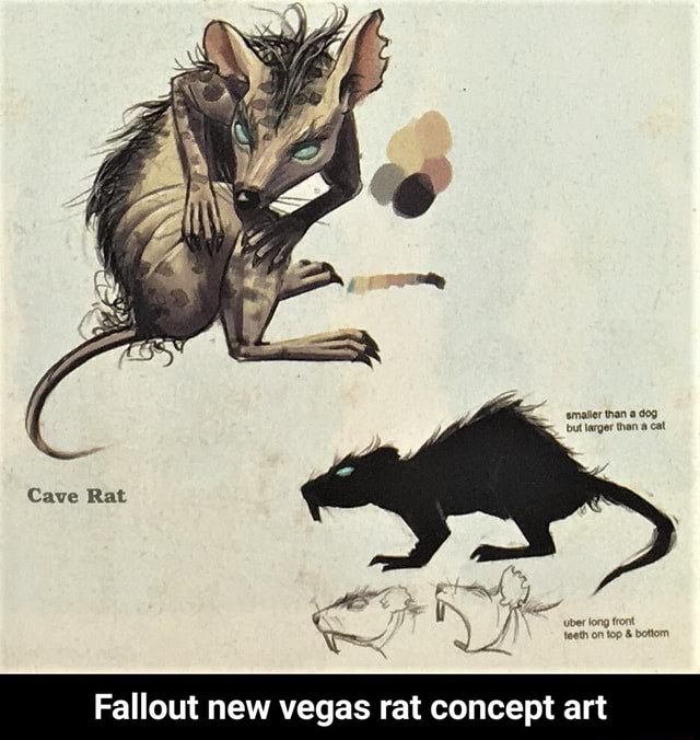 Smalier than dog but larger than a cat Cave Rat teeth on top & bottom ...