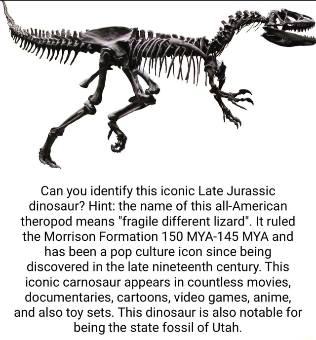 Can you identify this iconic Late Jurassic dinosaur? Hint: the name of ...