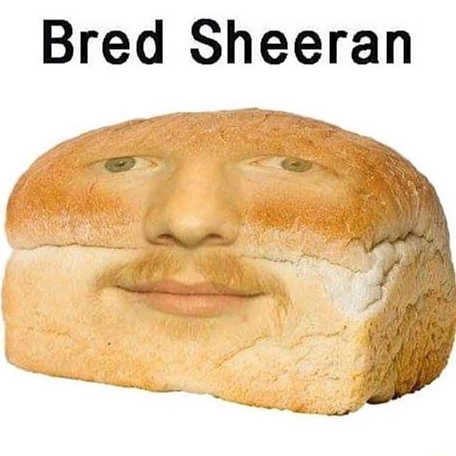 Bred Sheeran - iFunny