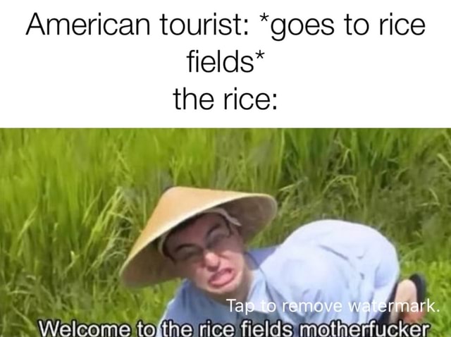 American tourist: *goes to rice fields* the rice: Ta Welcome rolthe ...
